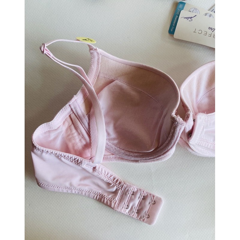 SabinaA32 B32 C32 A34 B34 C34 D34 รุ่น PERFECT bra ฟองไม่หนา มีช่องใส่ ...