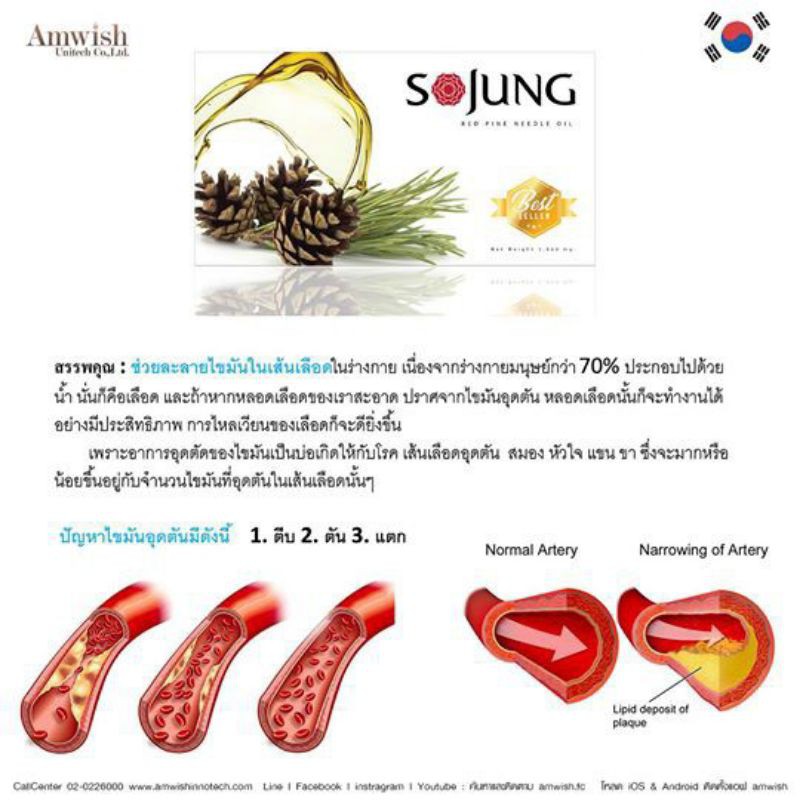 sojung น้ำมันสนเข็มแดง ของแท้100 ตัวแทนจากบริษัท - jaisaibeautyshop ...