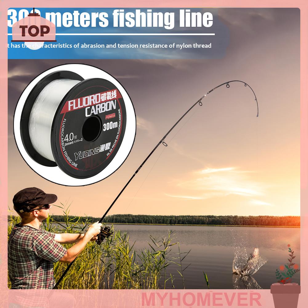 (DO) 300m Durable Nylon Fishing Line Wear-Resistant Carbon Fluorine ...