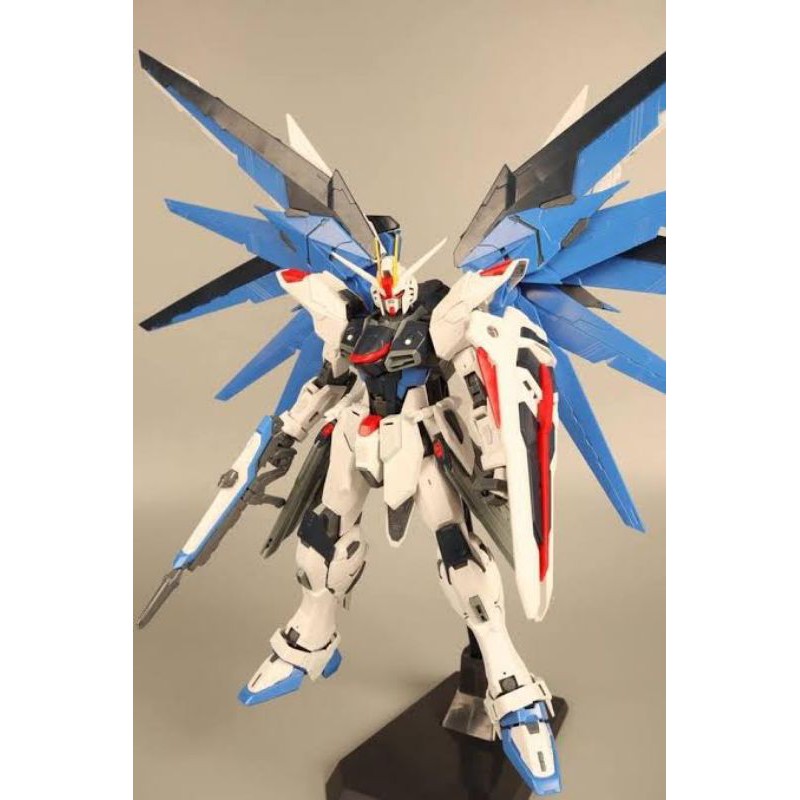Daban model MG 1100 (6650) Freedom gundam 2.0 - attapongthongnun - ThaiPick