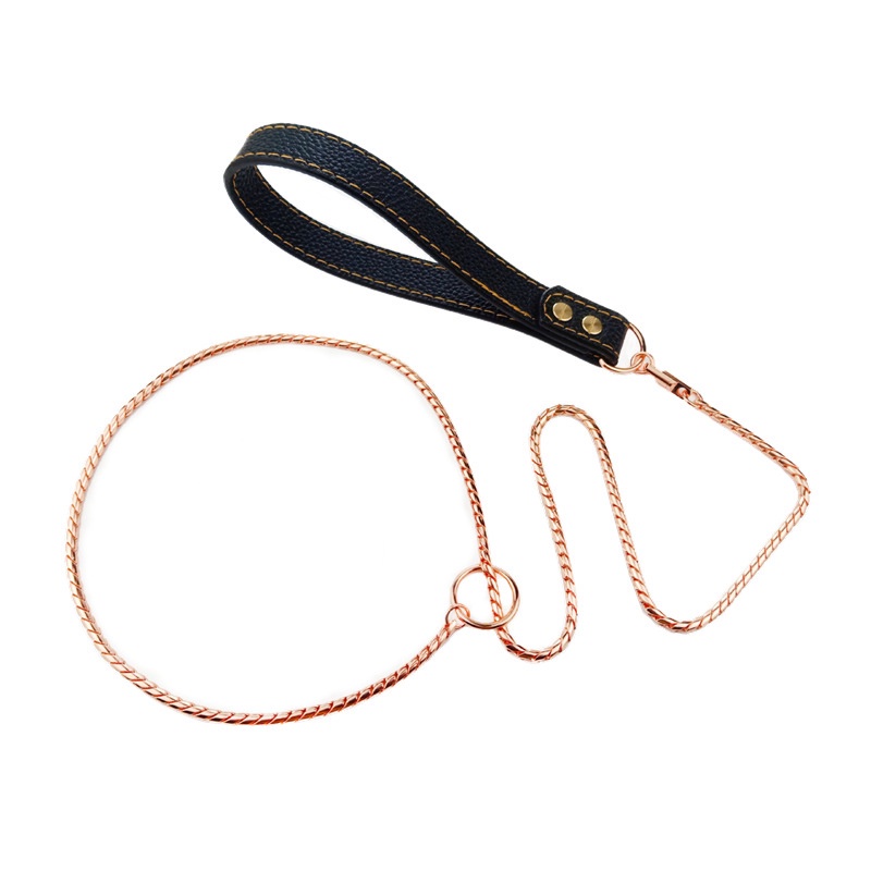 w2IN1 Dog Chain Collar Leash 304 Stainless Steel Dog Metal Collar Choke ...