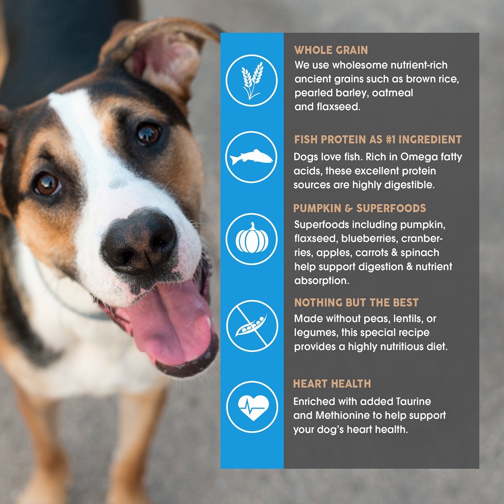 แพ้ง่าย ลดน้ำหนัก สุนัข อาหารสุนัขแบบเม็ด Earthborn Holistic Ocean ...