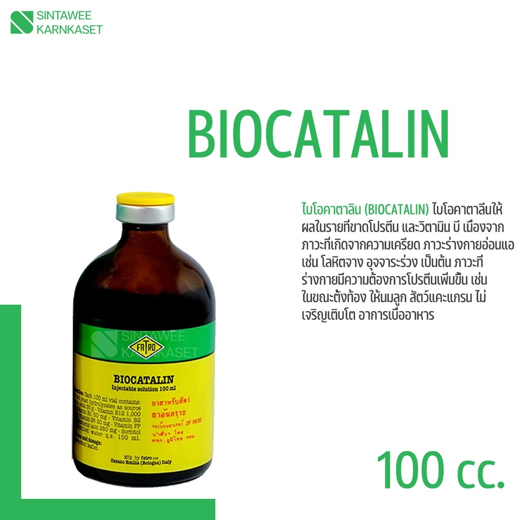 ไบโอคาตาลิน ถูกที่สุด พร้อมโปรโมชั่น ต.ค. 2022|BigGoเช็คราคาง่ายๆ