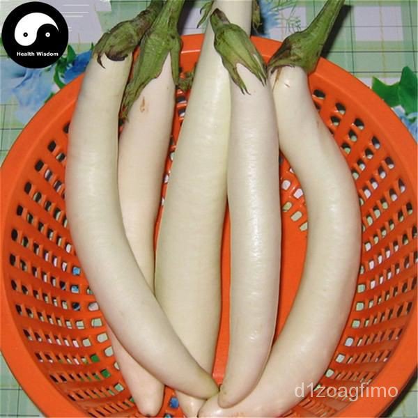Plantfilled Eggplant Long White Seeds - Vegetable - 10 ...