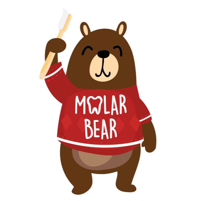 MOLAR BEAR, ร้านค้าออนไลน์ | Shopee Thailand