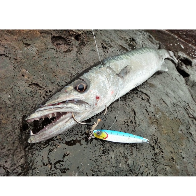 X8 JOF สาย PE4 PE8 PE9 ถัก8ยาว 100 เมตร สายpeยิงปลา สายpeตกปลา พร้อมส่ง ...