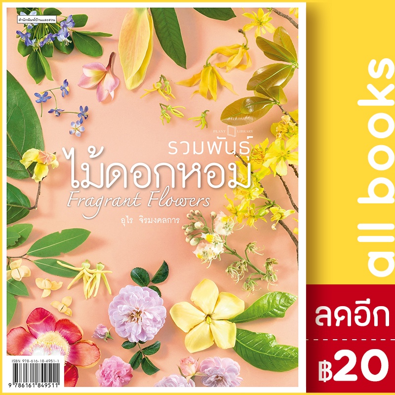 รวมพันธุ์ไม้ดอกหอม : Fragrant Flowers | บ้านและสวน อุไร จิรมงคลการ | Shopee Thailand