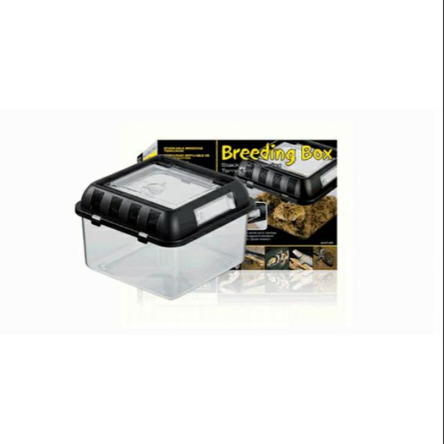 EXO Terra BOX ถูกที่สุด พร้อมโปรโมชั่น ก.ย. 2025 | BigGoเช็คราคาง่ายๆ