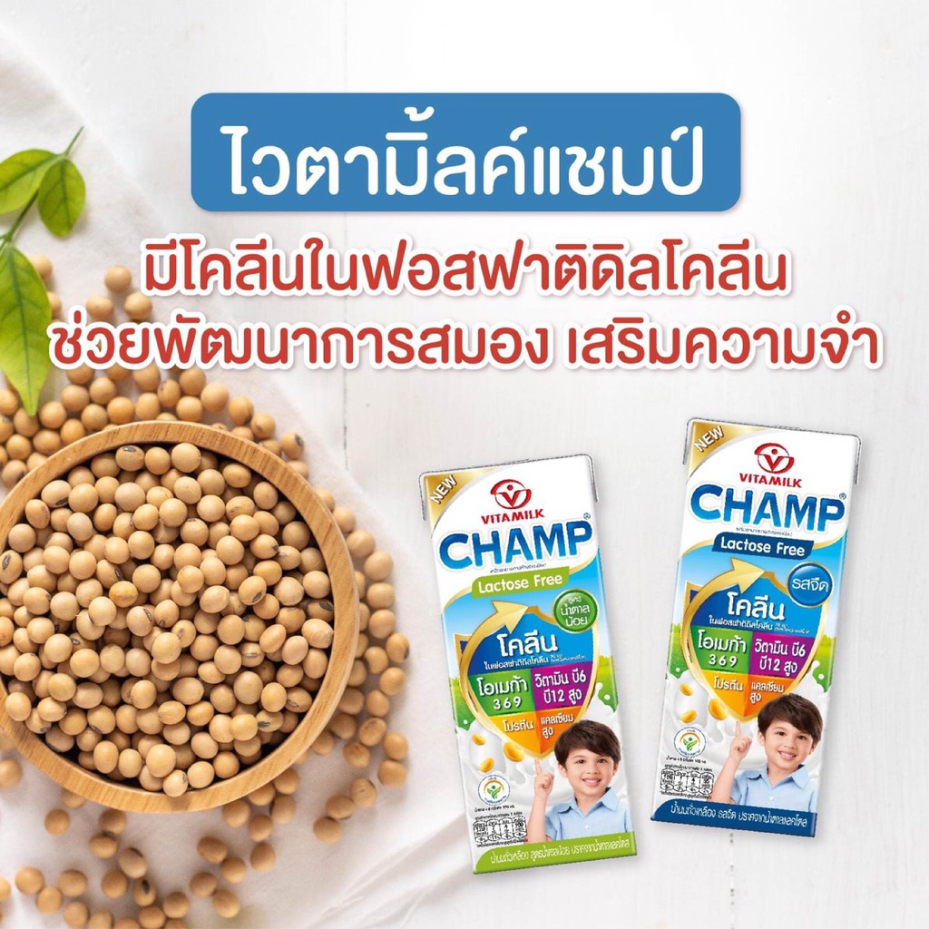 (ยกลัง)Vitamilk champ ไวตามิ้ลค์ แชมป์ น้ำนมถั่วเหลือง สูตรน้ำตาลน้อย ...