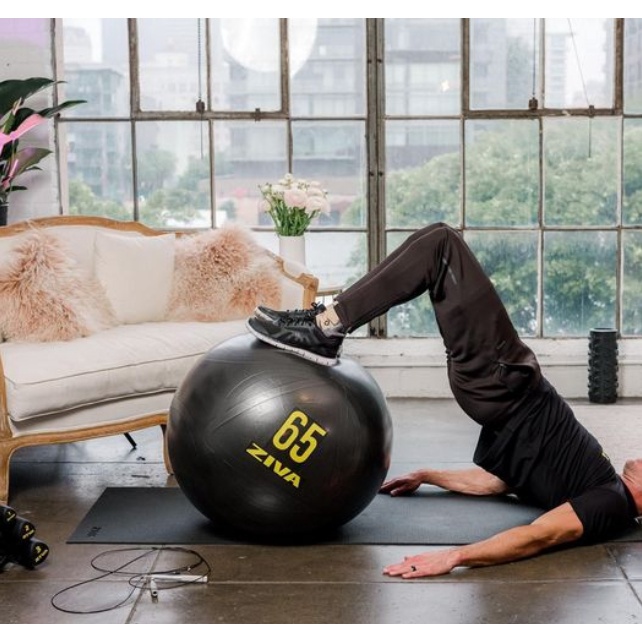 ZIVA - Anti-Burst Core-Fitball ลูกบอลออกกำลังกาย ขนาด 65 cm - fitness ...