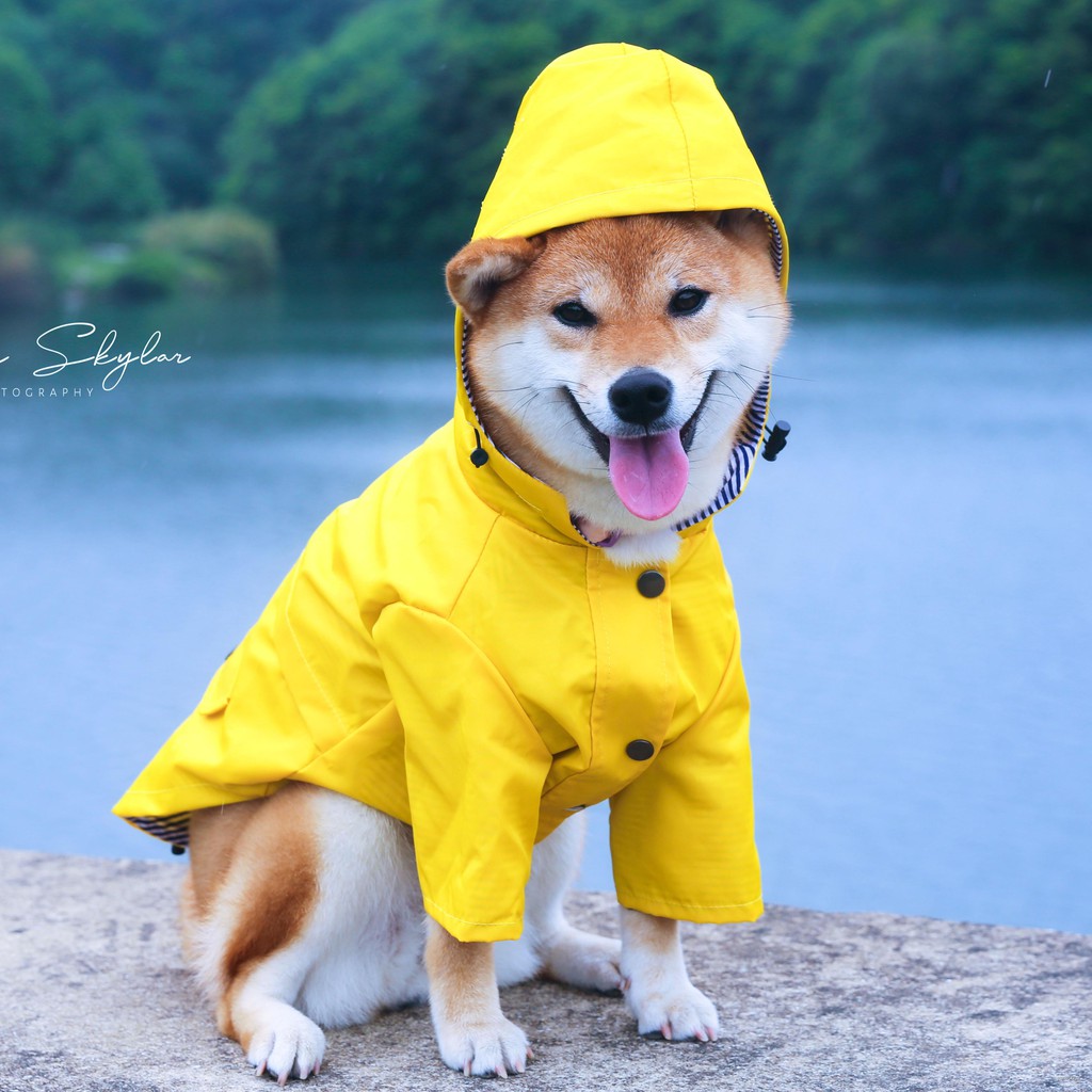 ♝เสื้อกันฝนแบรนด์ Shiba Inu เสื้อกันฝนสำหรับสัตว์เลี้ยง สุนัข เสื้อกัน ...