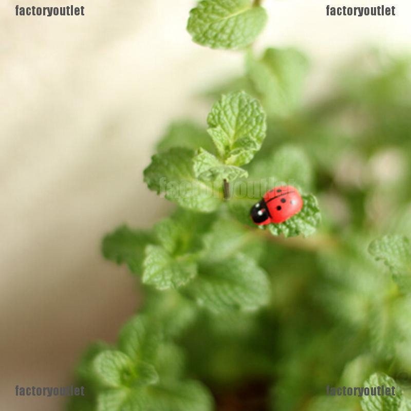 foth à¹€à¸•à¹ˆà¸²à¸—à¸­à¸‡à¸‚à¸™à¸²à¸”à¹€à¸¥à¹‡à¸ à¸ªà¹ à¸²à¸«à¸£à¸±à ...