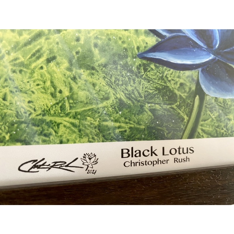 Black Lotus Poster by Christopher Rush - collector_store - ThaiPick