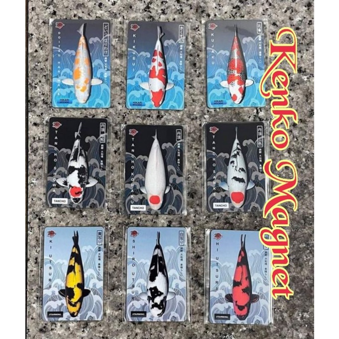 Kenko ป้องกัน ซิ้ง นอนก้นบ่อ ฮุบ อากาศ มีทั้งเม็ด ลอย และ เม็ด จม พิเศษ ...