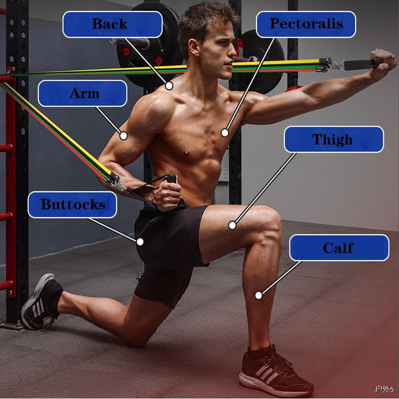 11pcs Resistance Bands Set Crossfit Training Exercise Yoga Tubes Pull ...