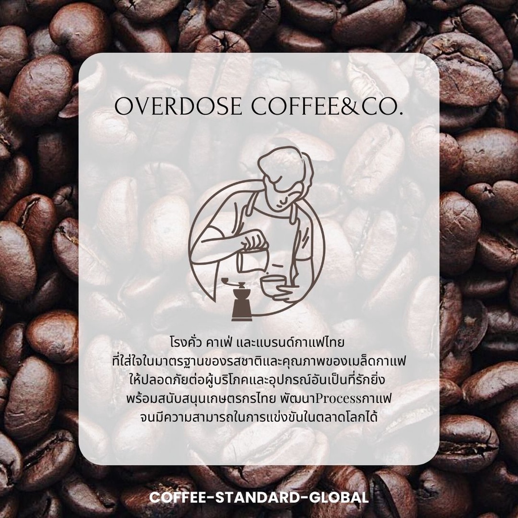 Overdose CoffeeCo. เคนย่า KENYA เมล็ดกาแฟคั่วอ่อน คุณภาพ - overdose_coffee.co - ThaiPick
