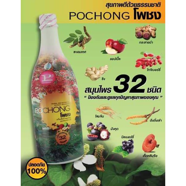 เครื่องดื่มสมุนไพร โพชง Pochong เครื่องดื่มบำรุงสุขภาพ 1 ขวดใหญ่ 1200 ...
