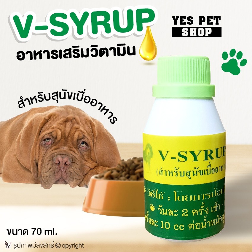 อาหารสำหรับสุนัขเบื่ออาหาร ช่วยให้สุนัขอยากอาหาร V-SYRUP อาหารเสริม ...