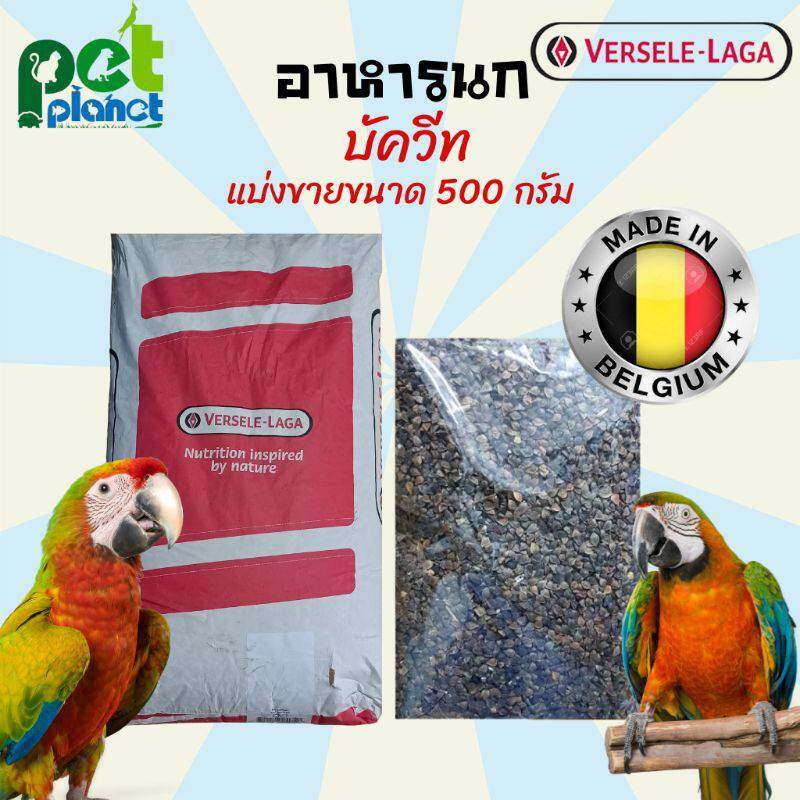 [500g.]Bird food, buckwheat, buckwheat, bird snacks, parrot food ...