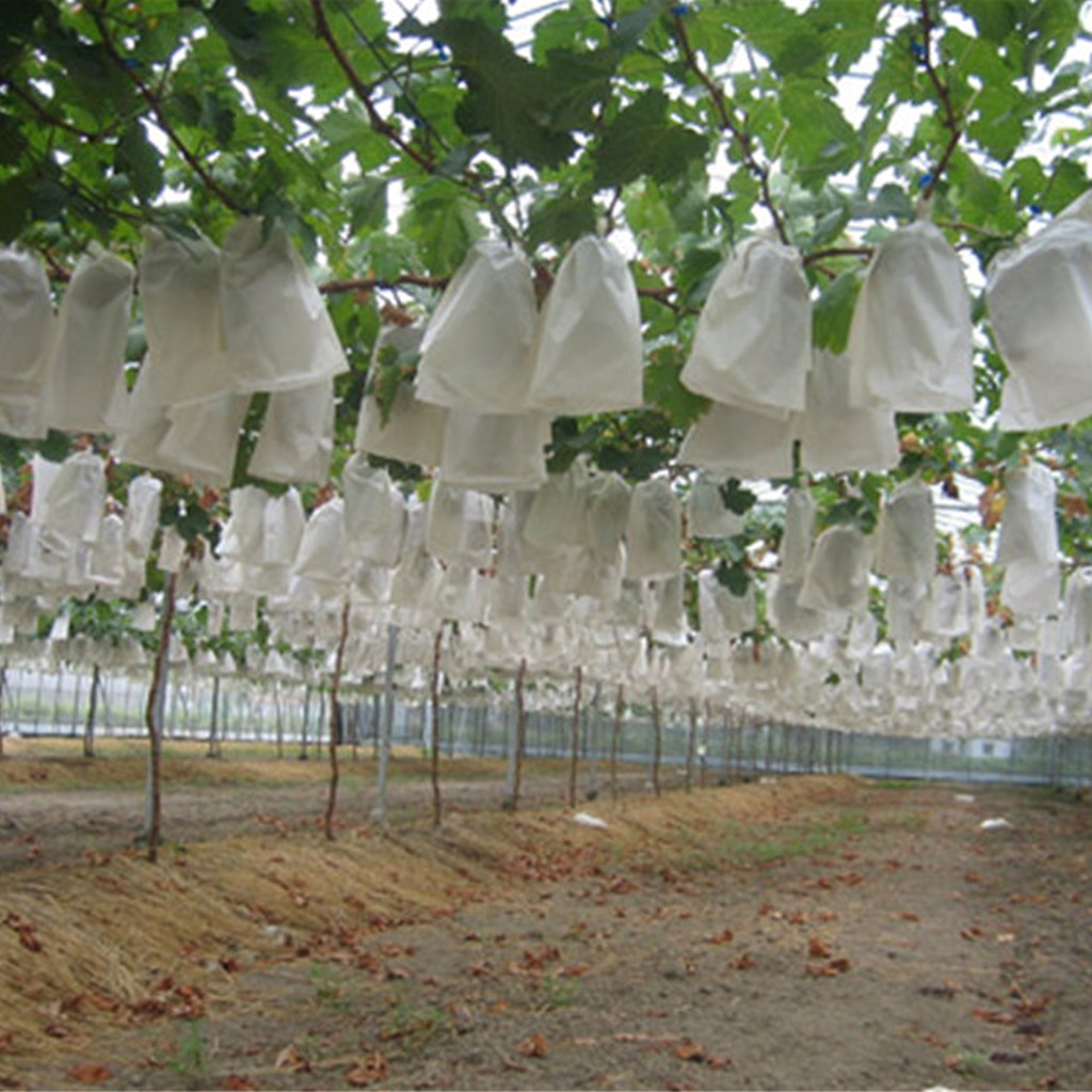 100PcsLot Fruit Vegetable Protection Bag Grapes Mesh Bag Against Insect ...