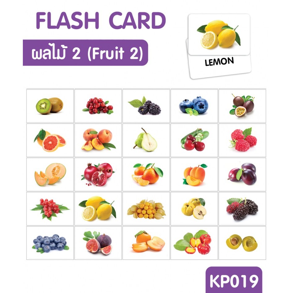 แฟลชการ์ด ผลไม้ 2 (Fruit 2 FLASHCARD) | Shopee Thailand