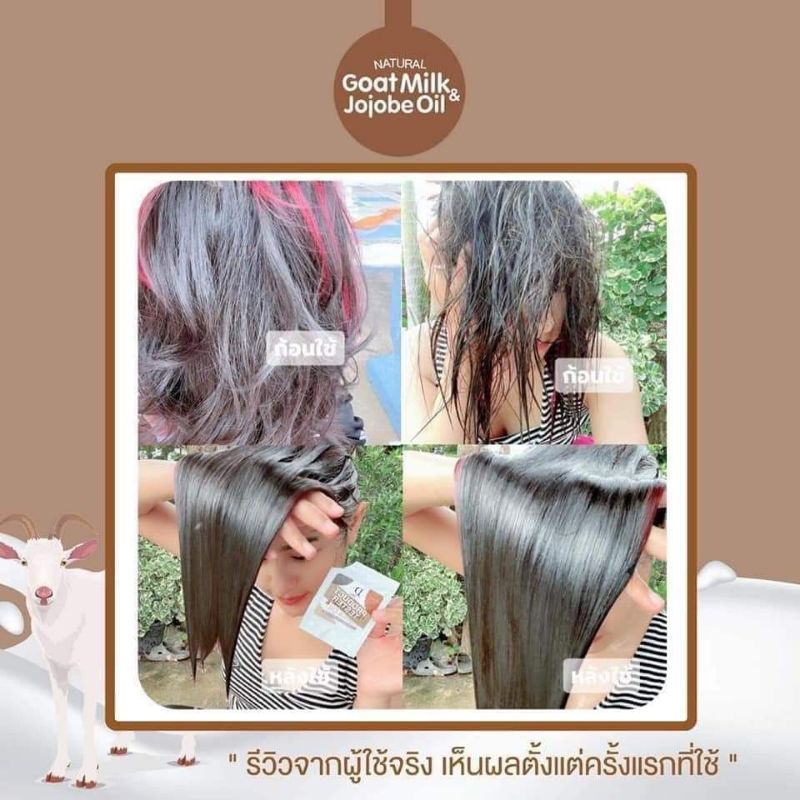 ของแท้มีของแถม Goat milk Jojoba oil DDew ทรีทเม้นท์เคราตินนมแพะโจโจ้บา ...