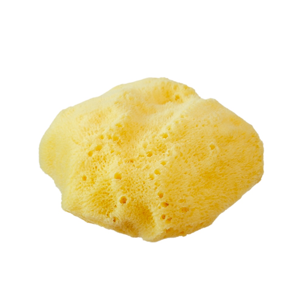 Chitida Natural Mediterranean Sea Sponge ฟองน้ำธรรมชาติ 100 ชนิด Fine ...