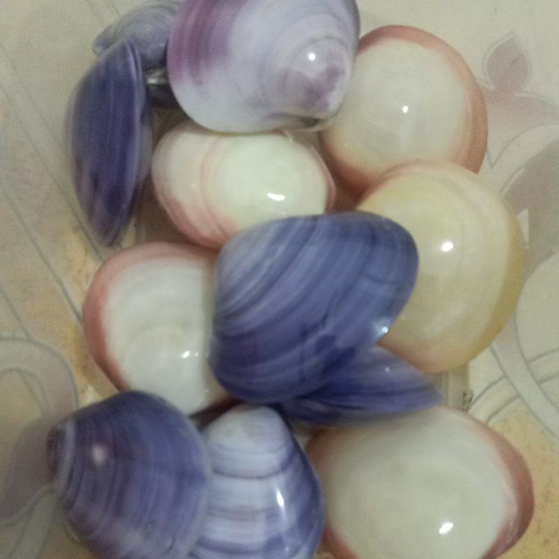 Batista ถูกที่สุด พร้อมโปรโมชั่น ก.ย. 2022|BigGoเช็คราคาง่ายๆ