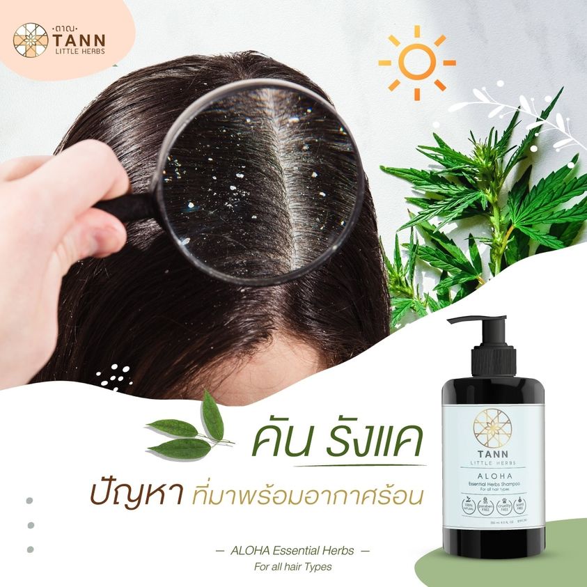 ใส่โค้ด G8EFEJE ลดทันที 60.- TANN 500ml. Aloha Essential Herbs สูตรซิก ...