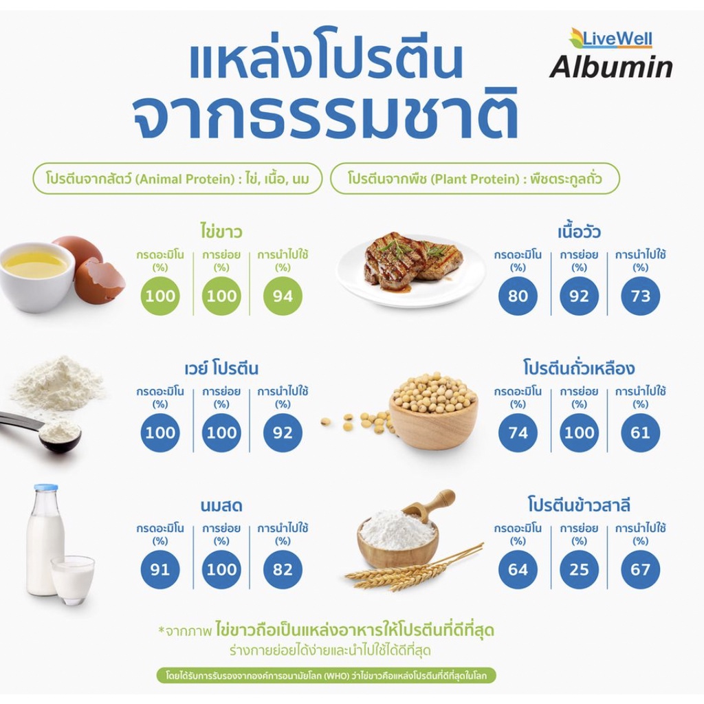 Live Well Albumin Egg White Powder 800g ผงไข่ขาว100 อัลบูมิน กล่องใหญ่ ...