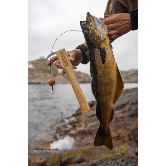 ชุดเข็มอิเคะ จิเมะ ไซซ์S Ikejime kit size S | Shopee Thailand