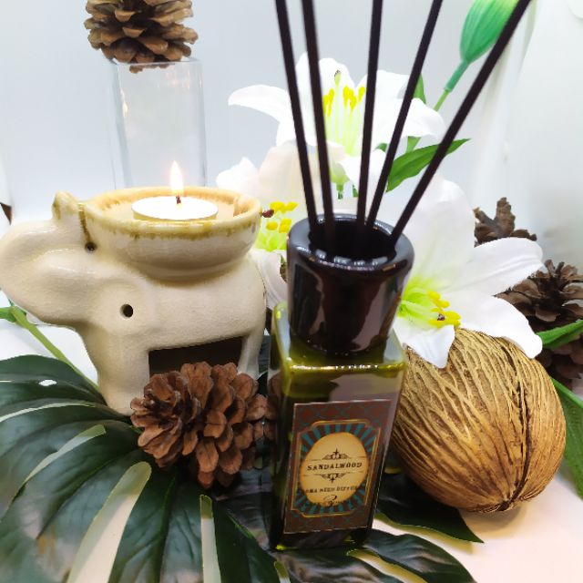 Reed diffuser - refill 120ml. - threescompany - ThaiPick