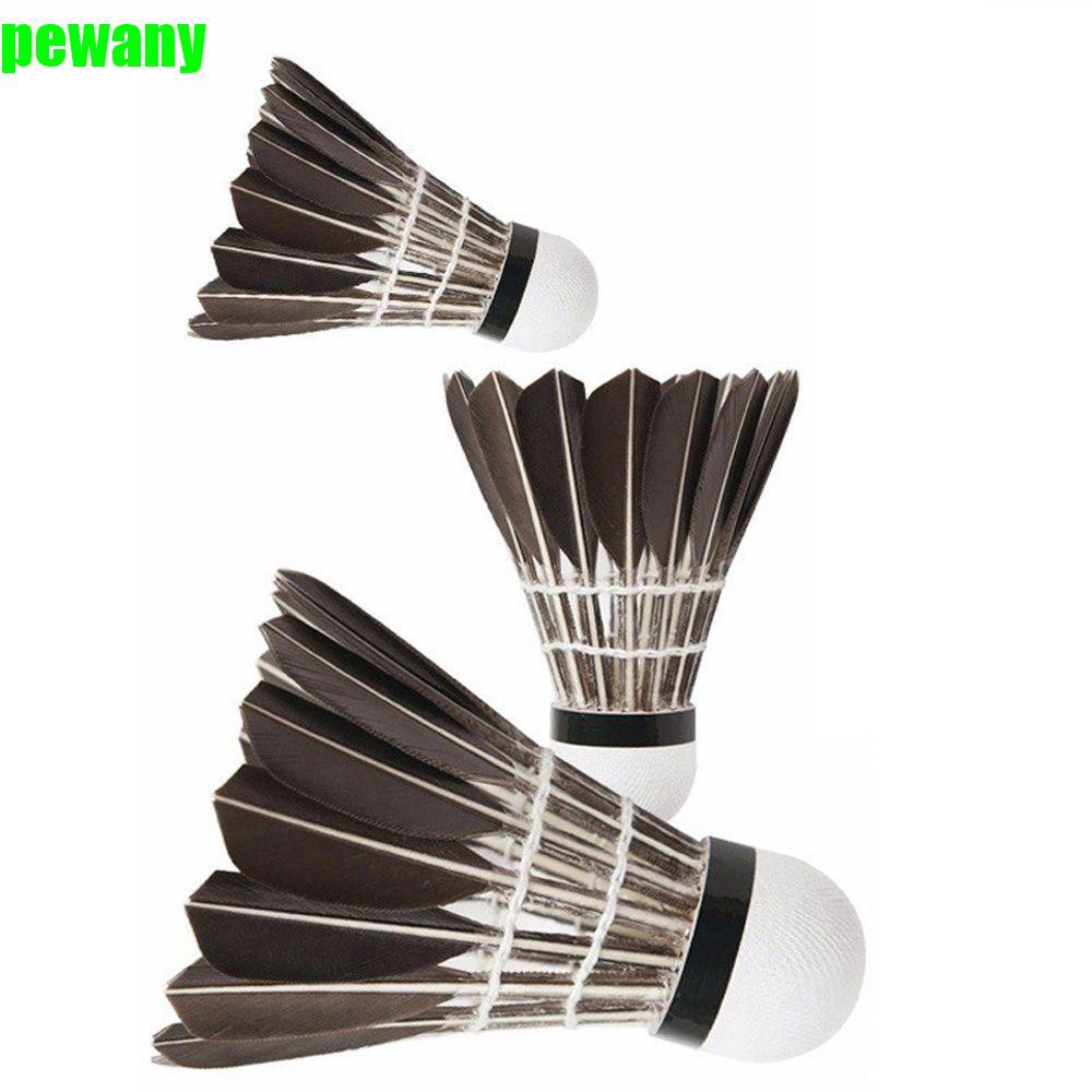 PEWANY 12PCS Shuttlecock Black Ball Badminton for Game Fiber 1 Barrel ...