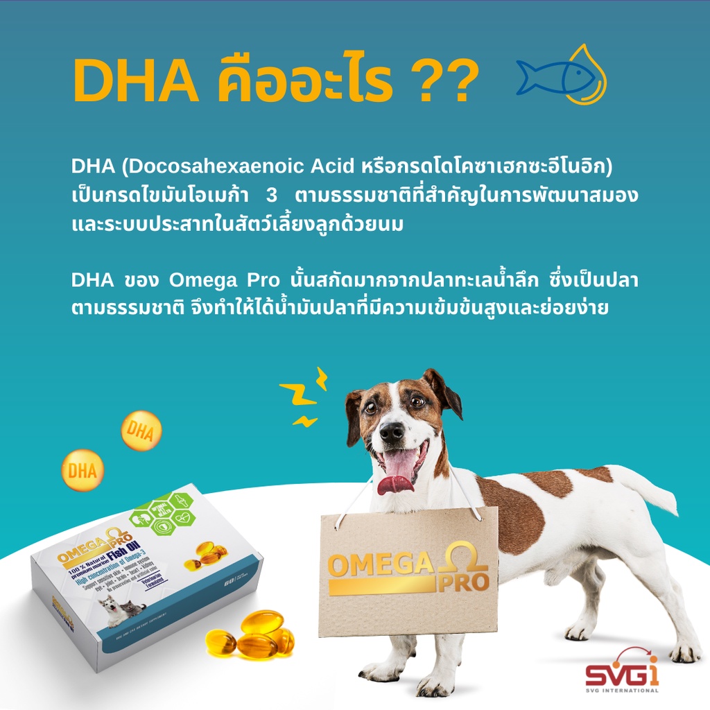 (ของแท้) Omega Pro โอเมก้า โปร อาหารเสริมน้ำมันปลาสำหรับสัตว์เลี้ยง แบบ ...