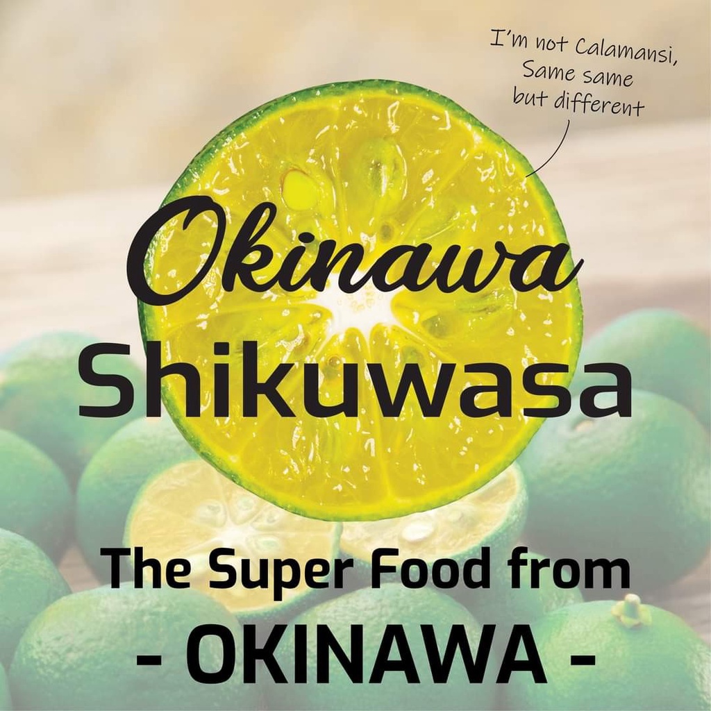 น้ำส้ม Shikwasa ชีกวาซ่า 100 แบบไม่มีน้ำตาล สุดพรีเมี่ยม - jgbthai ...