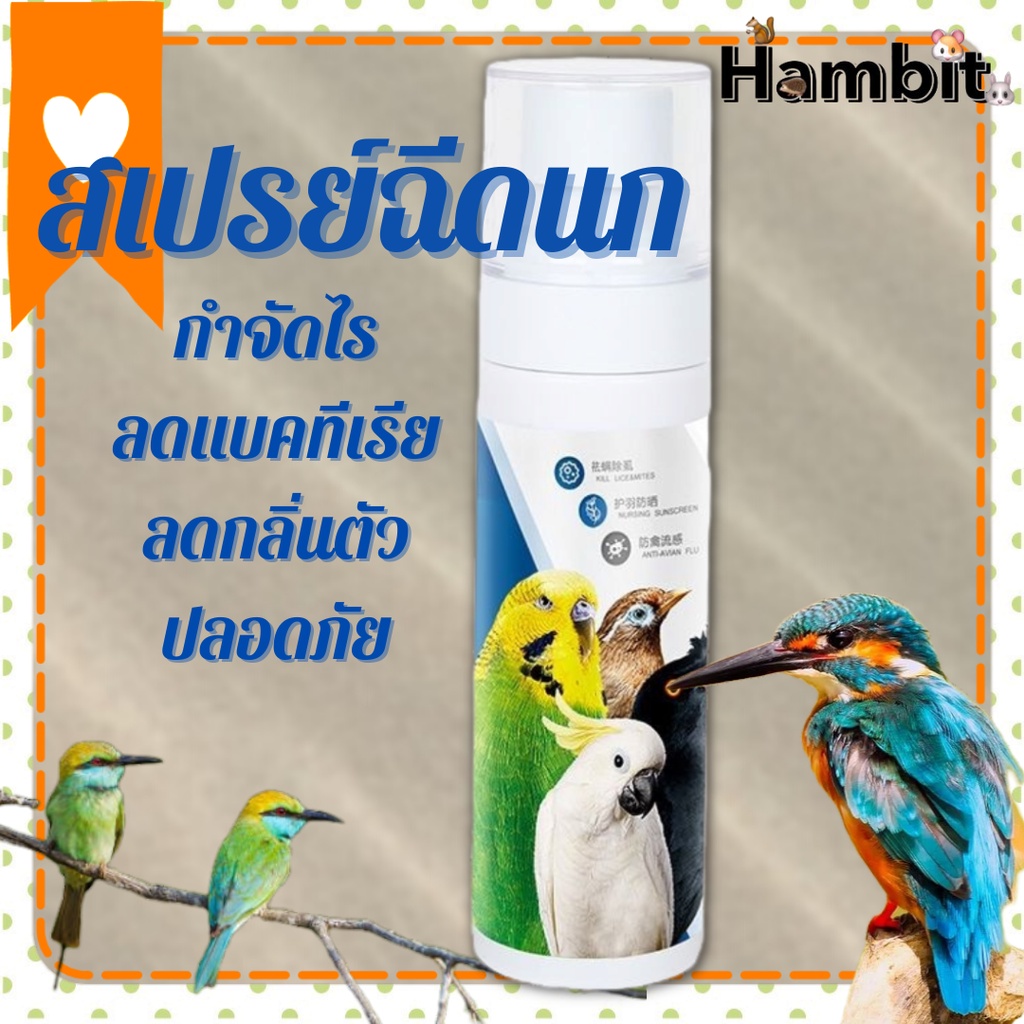 Hambit. สเปรย์นก สเปรย์กำจัดไรนก ไรนก ไม่เป็นอันตรายต่อนก - hamster ...