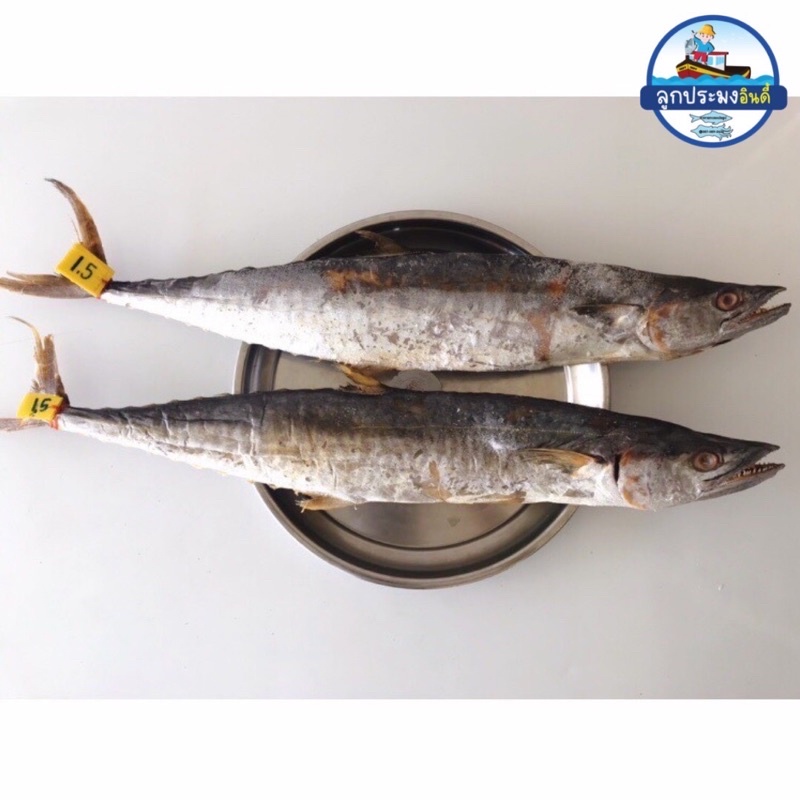 ปลาอินทรีย์ เค็มน้อย ชิ้นใหญ่ แพ็ค 1 ชิ้น น้ำหนัก 115g-130g ไร้สารเคมี ไร้สารกันบูด หอม สะอาด ...