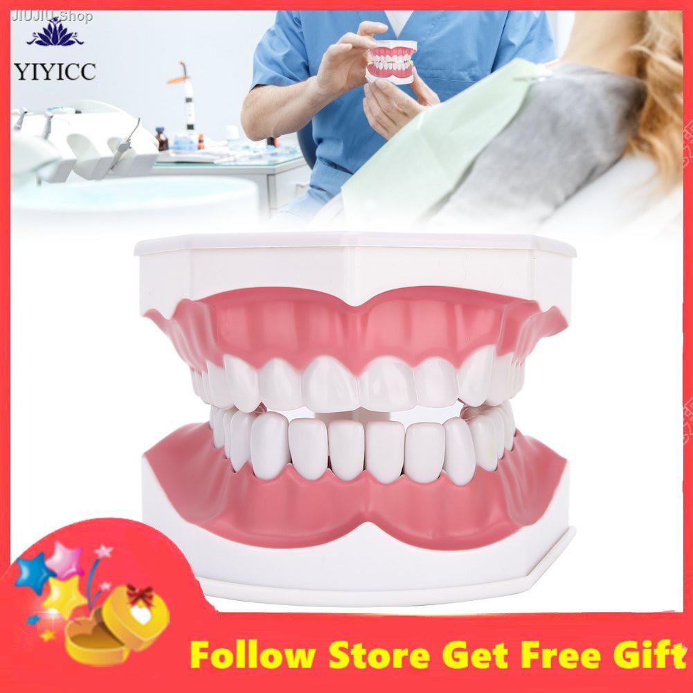 styleYiyicc Dental Tooth Model Studying Standard Teeth Teaching Cavity ...