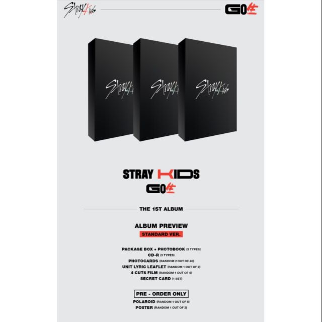 Pre-Order STRAY KIDS 1st Album GO生 (Standard ver.) (โปสหมดค่ะ ...