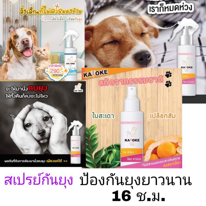 Kayoke ถูกที่สุด พร้อมโปรโมชั่น ธ.ค. 2022|BigGoเช็คราคาง่ายๆ