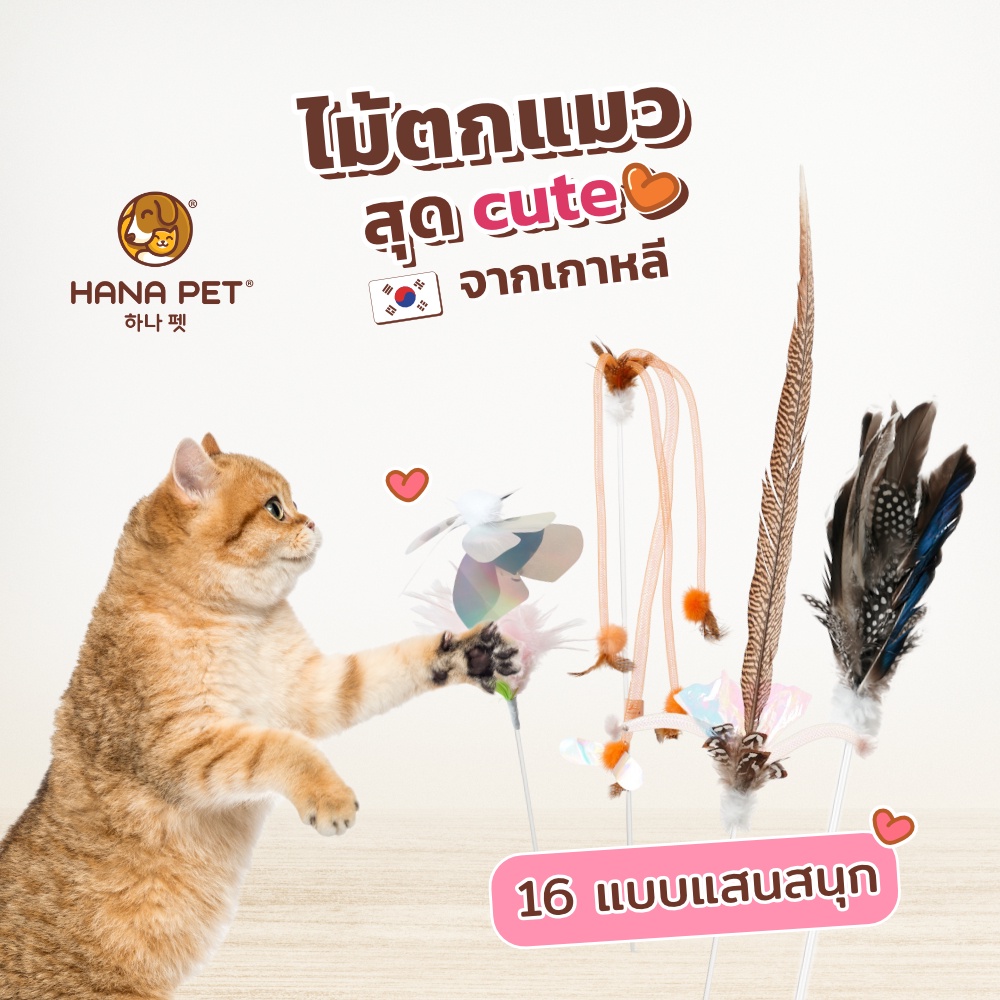 Hana Pet ไม้ตกแมวขนนกแท้สุดหรู ของเล่นแมว มีให้เลือก 16 แบบ เบ็ดตกแมว ไม้ตกแมว ไม้ล่อแมว นำเข้า ...