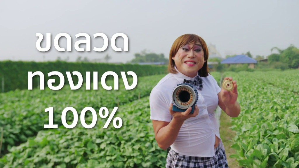 Thaipinnacle, ร้านค้าออนไลน์ | Shopee Thailand