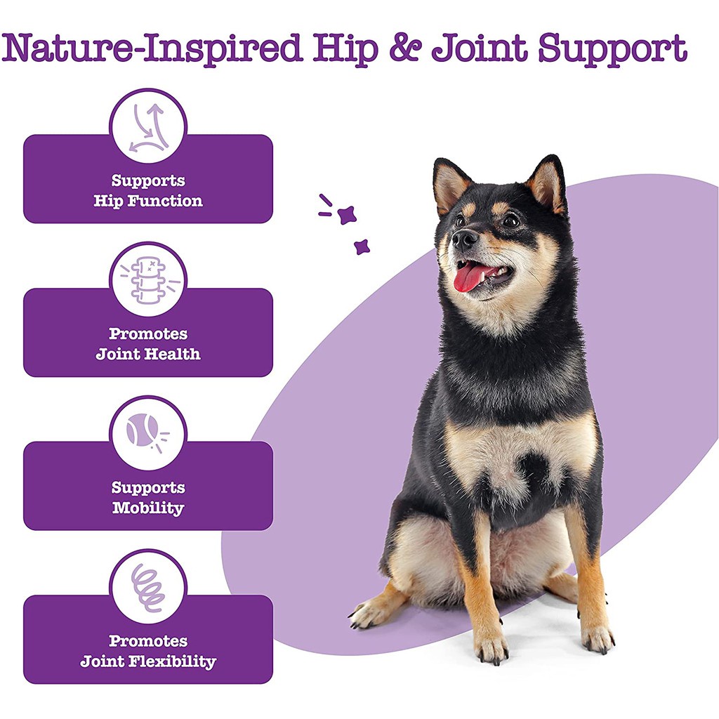 90 เม็ด Mussel Mobility Bites บำรุงข้อสุนัข ลดปวด อักเสบ ขากระเพก ลุก ...