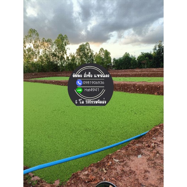 แหนแดงไมโครฟิลล่า ราคาถูก 2กิโล (70บาท) - kitkat.69 - ThaiPick