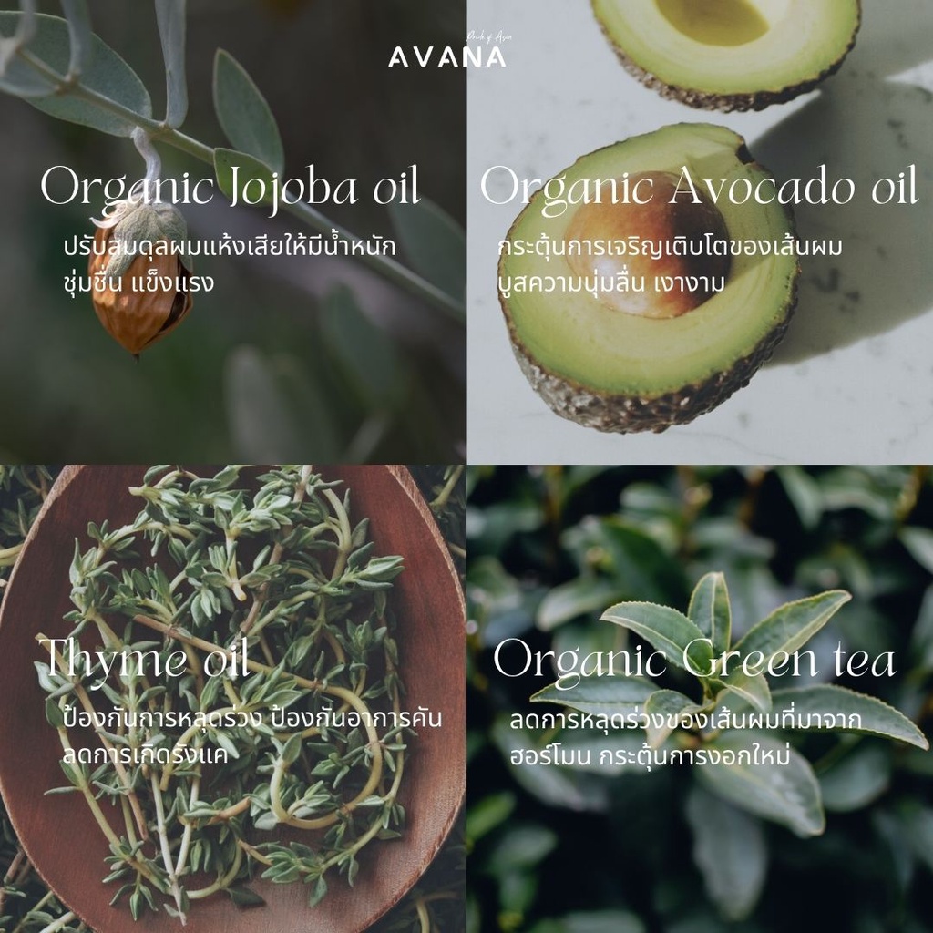 AVANA INTENSIVE HAIR THERAPY TREATMENT ทรีตเม้นต์ Organic เข้มข้น ...