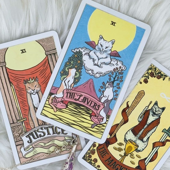 Stray Cat Tarot ไพ่ทาโร่ แมว ไพ่ทาโรต์ ของแท้ ไพ่ไทย ไพ่น้องแมว ไพ่ ...