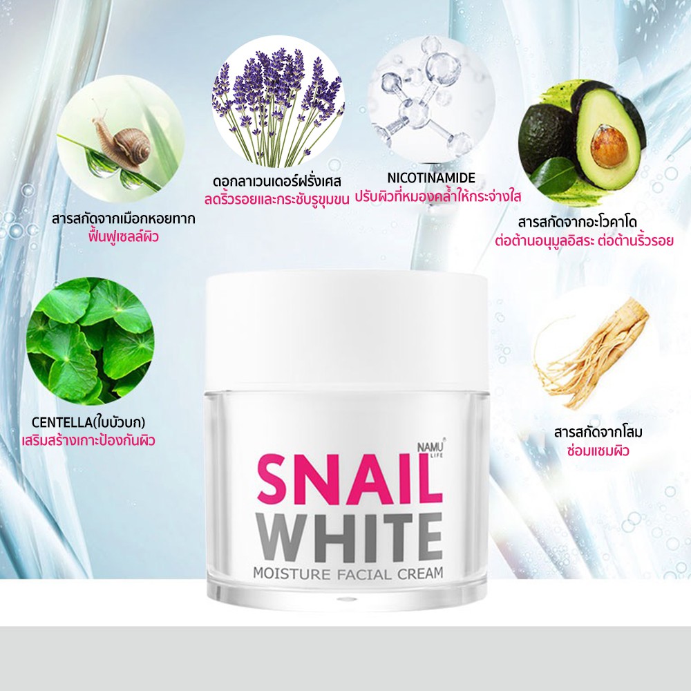 SNAIL WHITE สไนล์ไวท์ มอยส์เจอร์ เฟเชียล ครีม ครีมบำรุงผิวสเนล ครีมลด ...