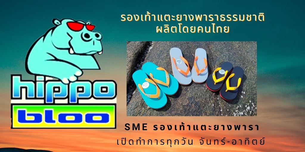 hippobloo_officialshop, ร้านค้าออนไลน์ | Shopee Thailand