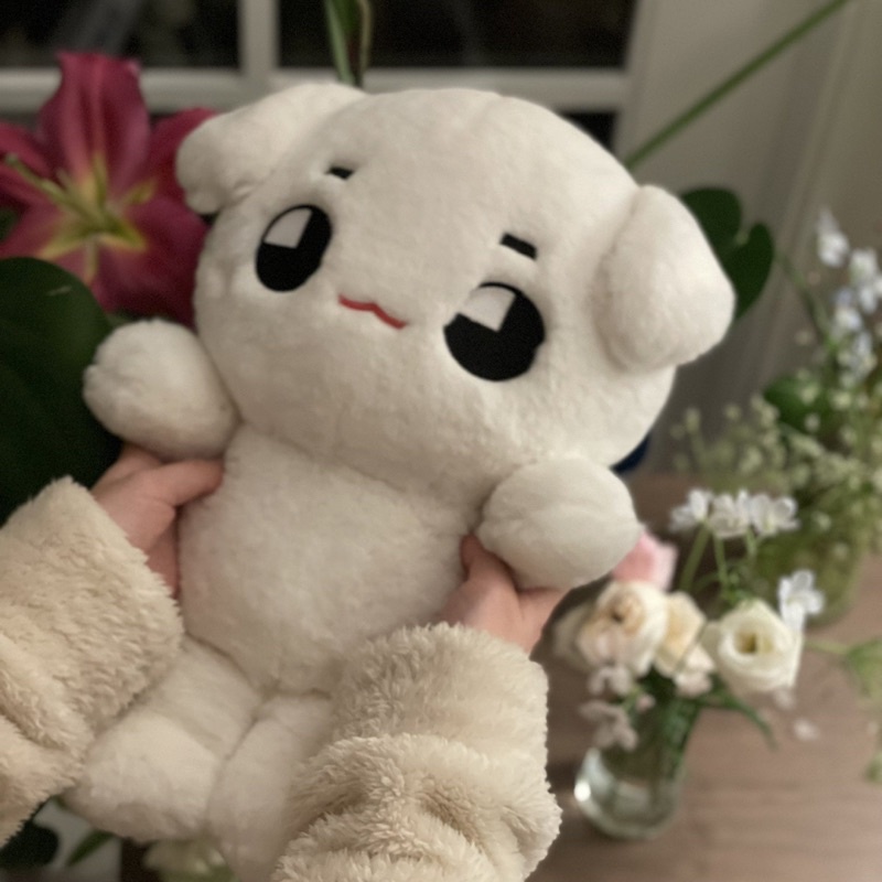 พร้อมส่ง ทยงย่า ( tyongya ) 40cm ตุ๊กตาแทยง ตัวใหญ่จุใจ น้องอ้วนตุ้บ ...