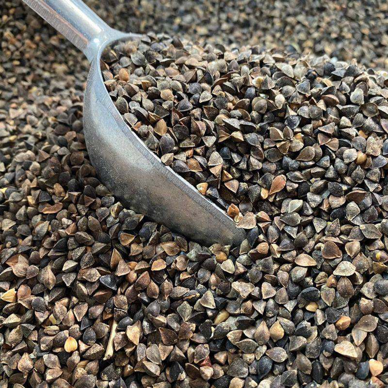[500g.]Bird food, buckwheat, buckwheat, bird snacks, parrot food ...